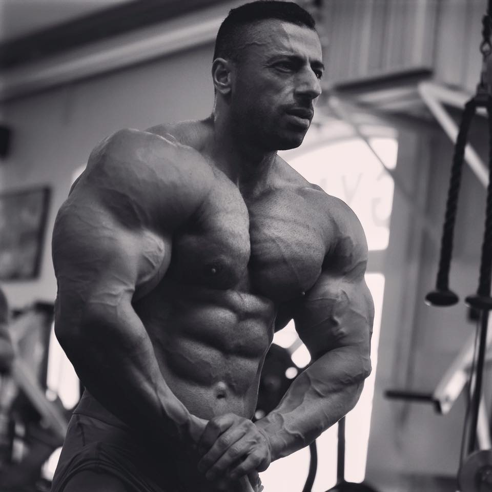 Muscle Lover: January muscle mix 2016