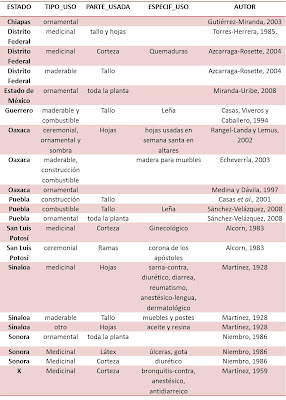 El cuexcomate: Etnobotánica del ahuehuete