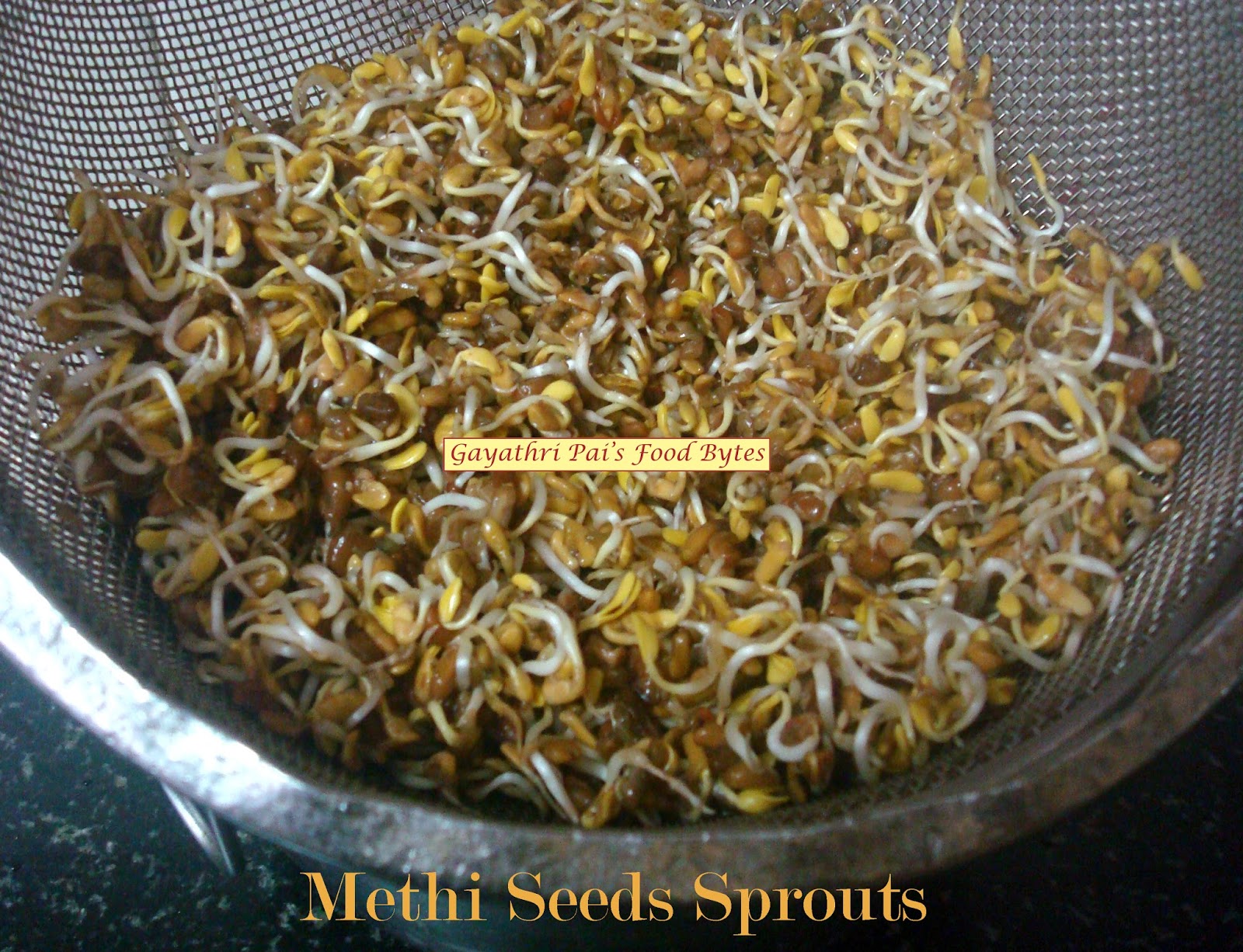 Gayathri Pai's Food Bytes: Sprouted Methi Seeds Masala Bhaji / Upkari.