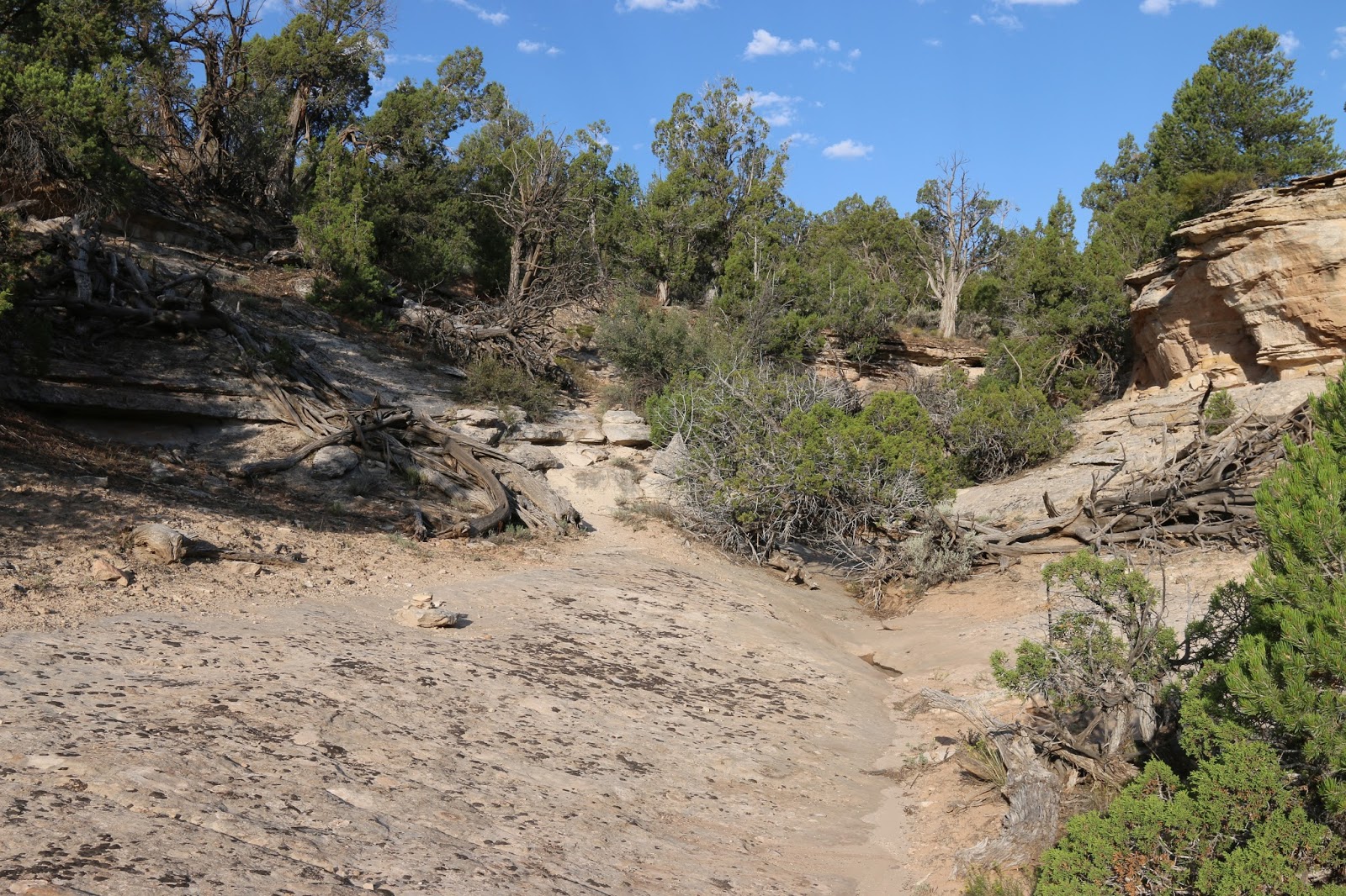 gjhikes.com: Knowles Canyon
