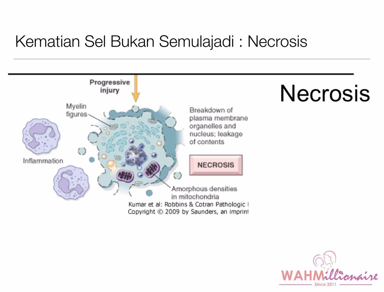 Cara untuk mematikan sel kanser dari terus merebak | permatahatibidadariku