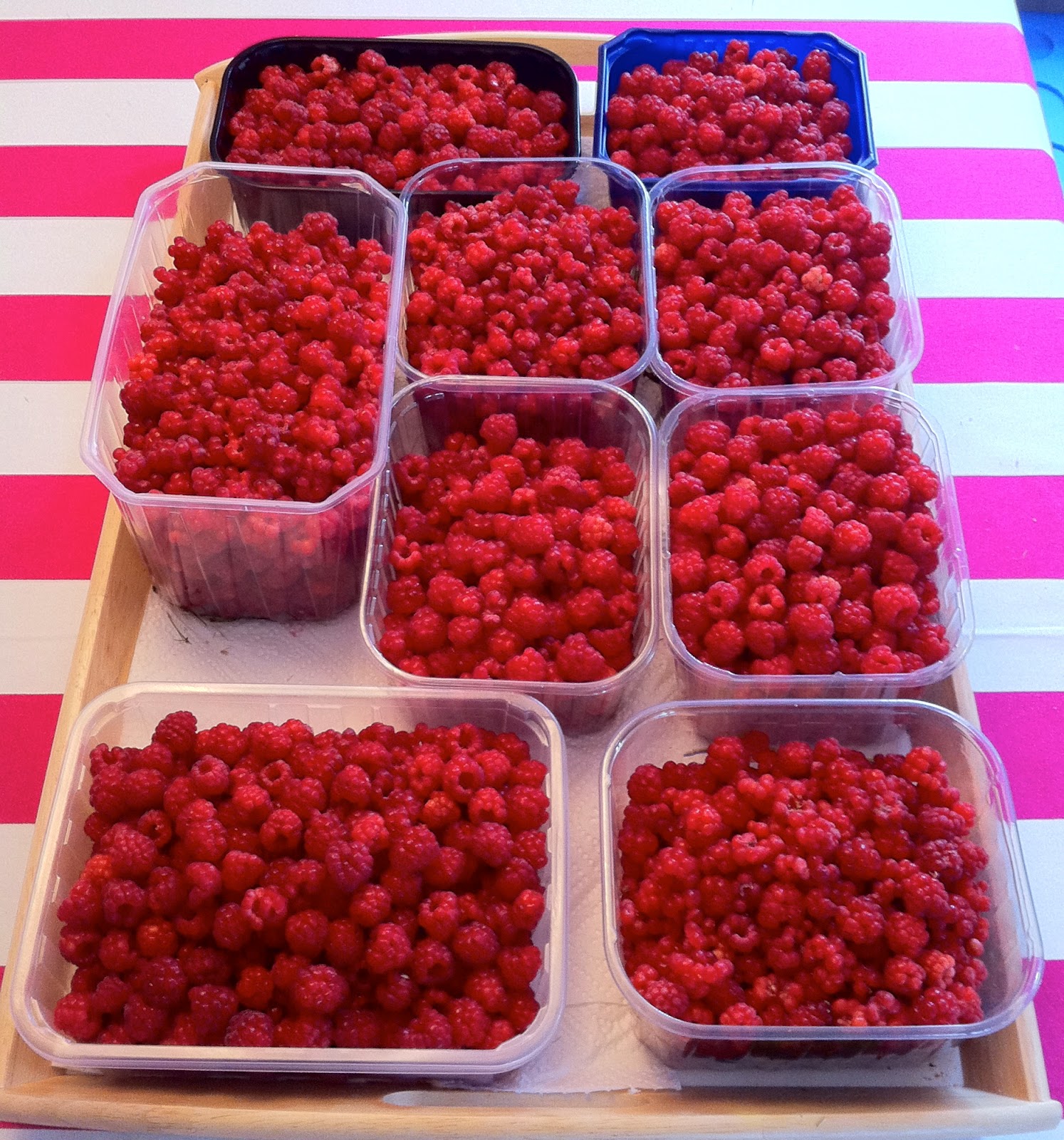 Life is Great: The first Raspberry harvesting day