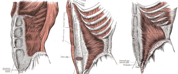 F-eatness: Vacuum addominale