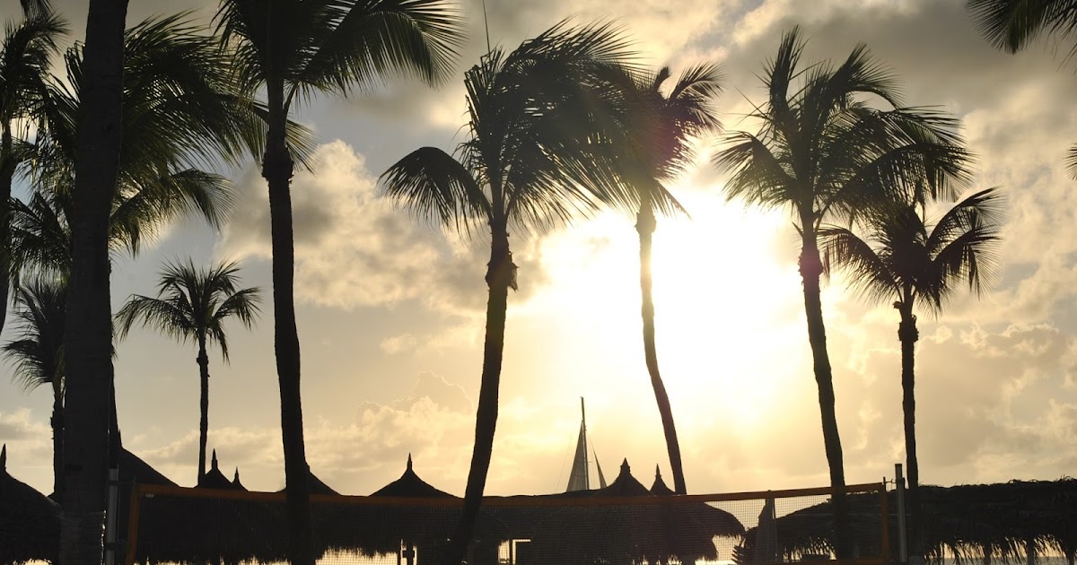 As ilhas ABC: Aruba, Bonaire e Curaçao! - Dani Turismo