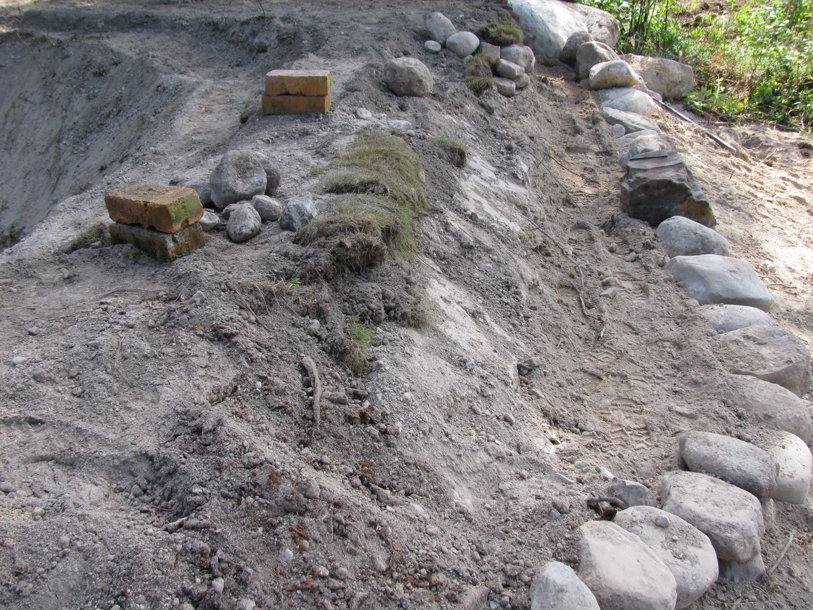 Tigers tassemarker: Drömmen om en damm