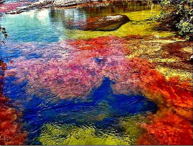 Let's enjoy the beauty: Cano Cristales :The River of Five Colors ( The ...