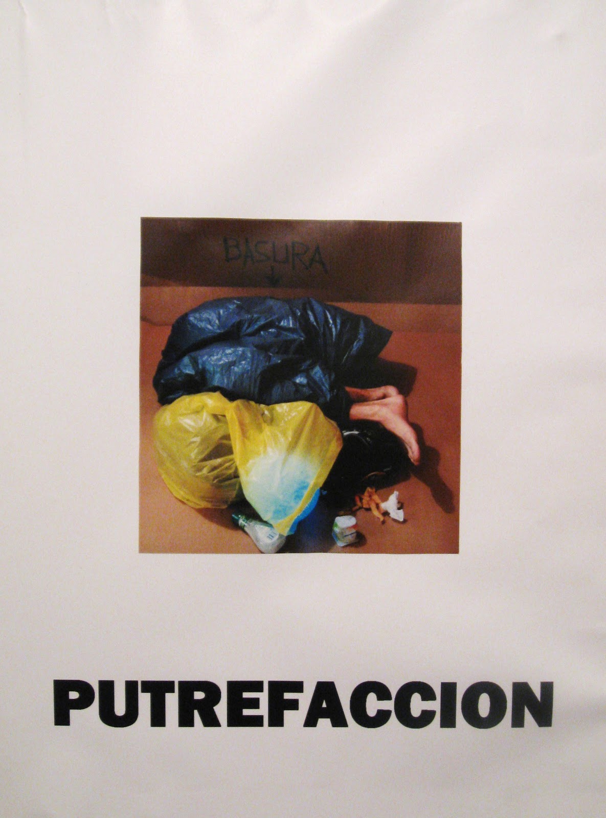 VIDA MUERTE PUTREFACCIÓN - tríptico