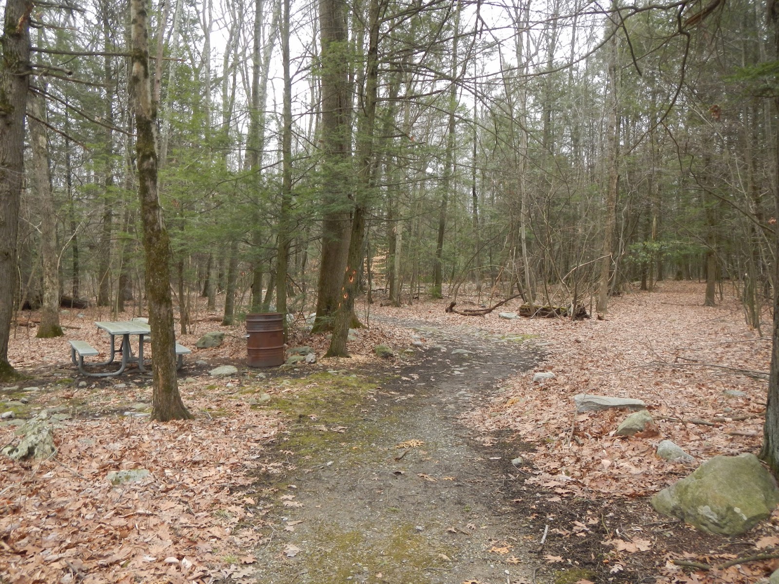 Taking Out the Trash in Eastern PA: Bear Swamp and Lake Minsi (27-Feb-2017)
