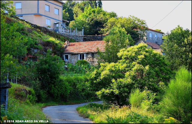 XOAN ARCO DA VELLA: AS BOUZAS DE ARIIBA ´OROSO - A CAÑIZA