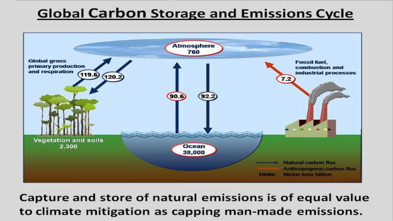 Climate change mitigation