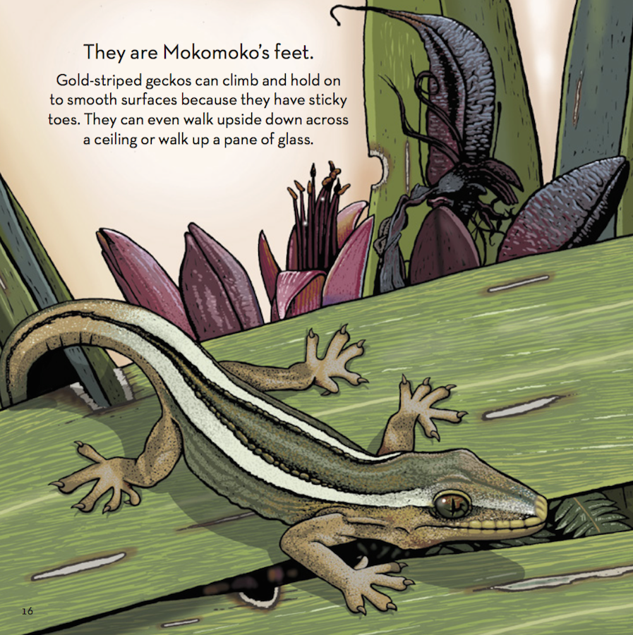 Explore and Discover Nature: Make a Gecko with Sticky Feet