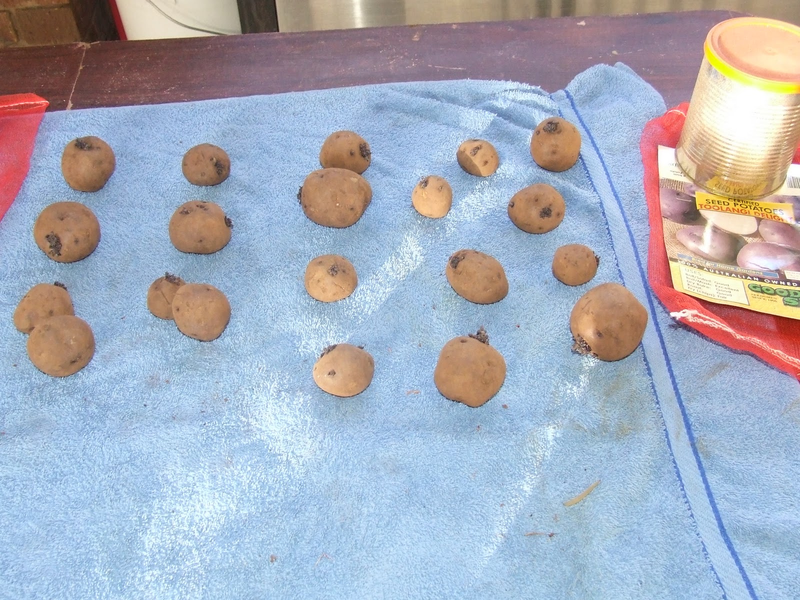 Spuds Ahoy - The Greening of Gavin