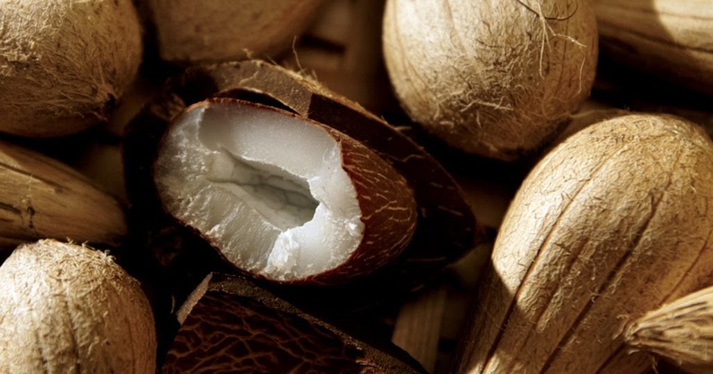 Ybera Paris: Murumuru 🌱y Fashion UP