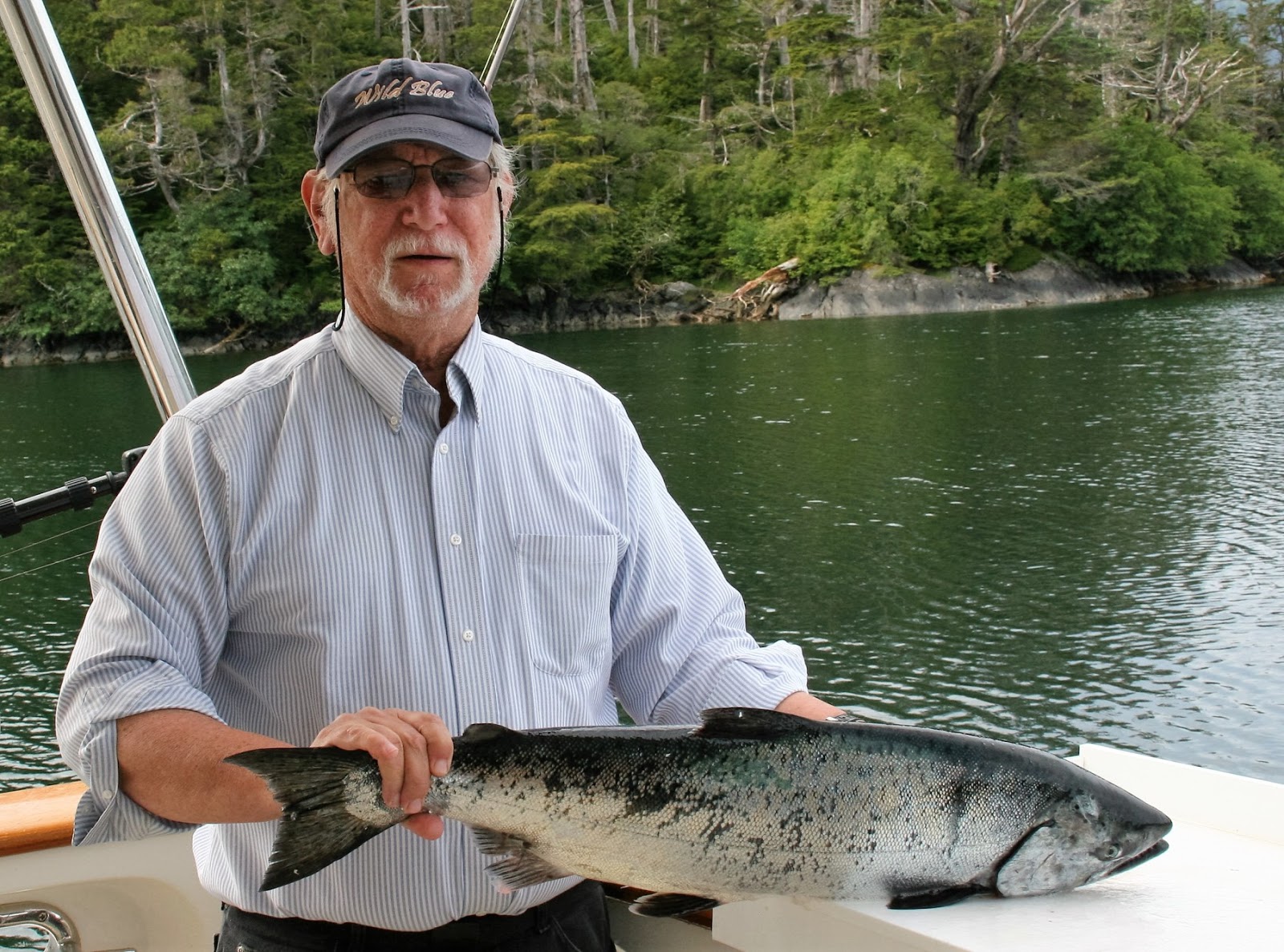 m/v WILD BLUE Cruising Blog: 2016-16 Redfish Bay, Whale Bay, Sitka