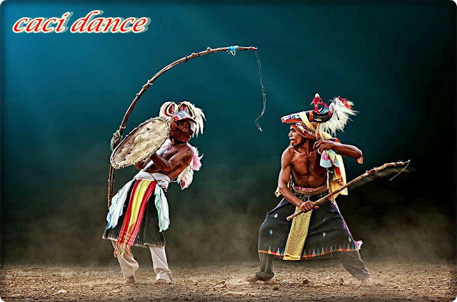 OVAZ JOSEPH: Top 7 Experience in Komodo National Park