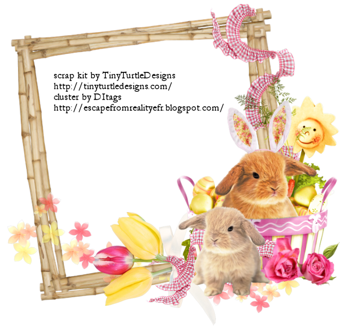 Escape From Reality Blog: FTU 'Bright Spring' Cluster & Cluster Frames