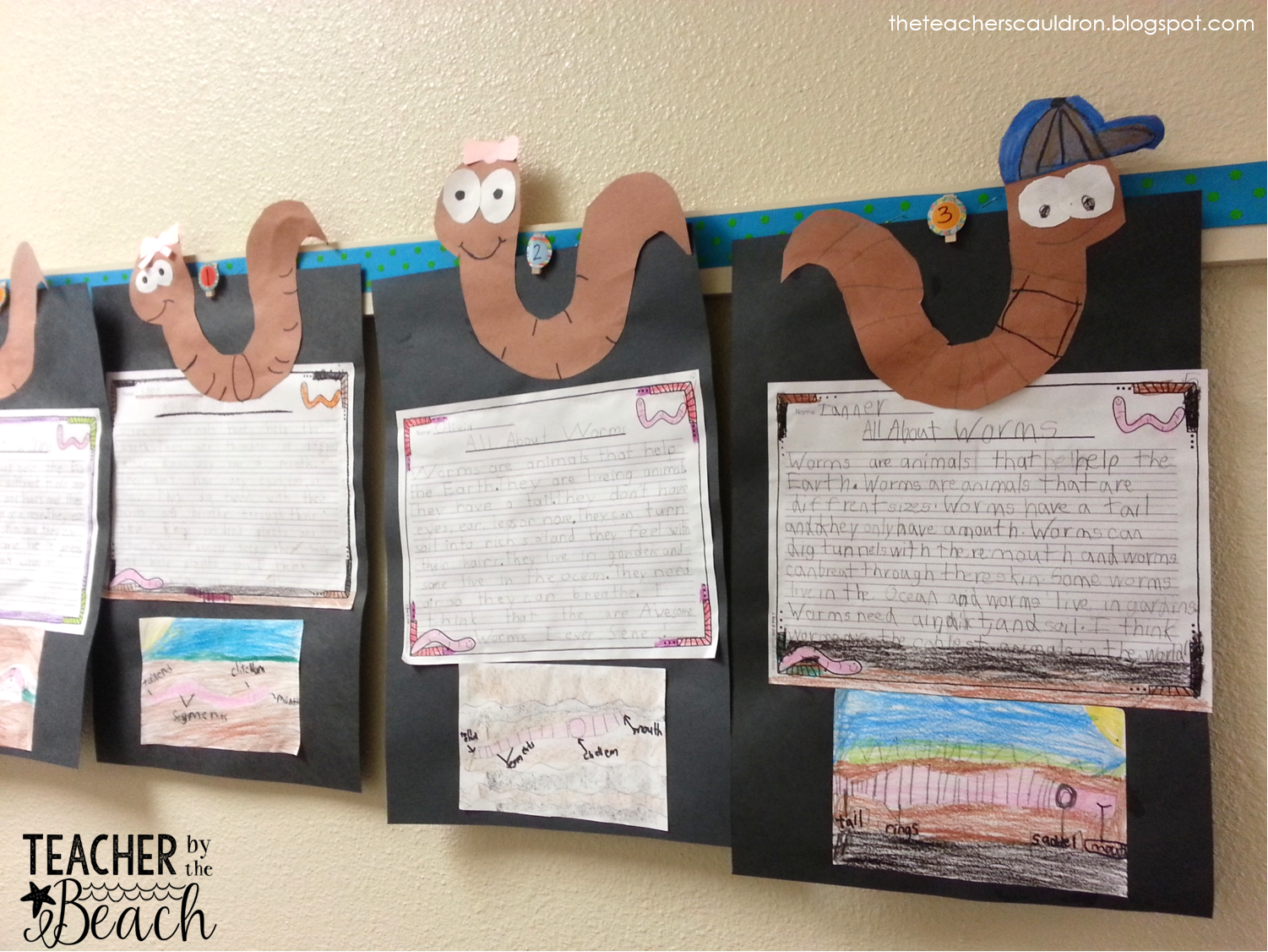 Fun with WORMS! - Teacher by the Beach