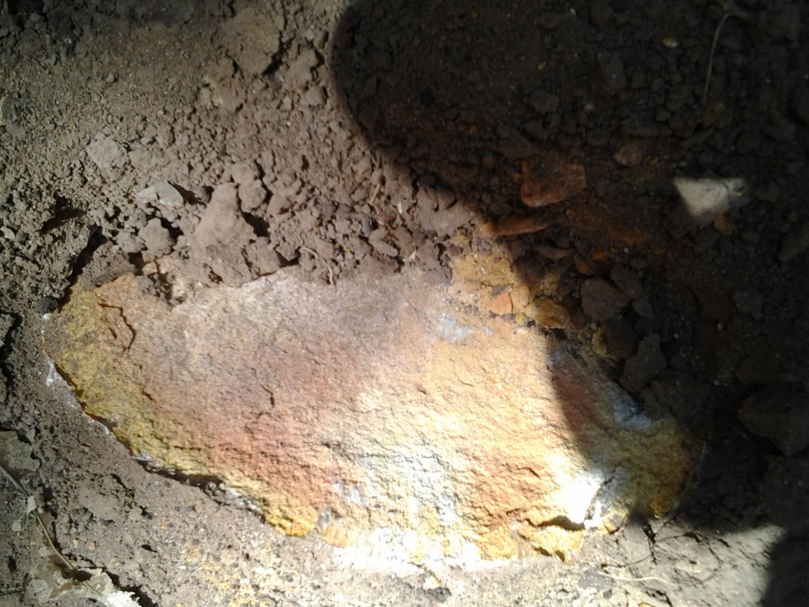 CALICATA LOPEZ GONZALEZ SACHEZ 10º