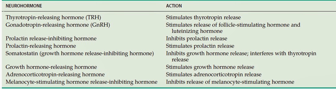 Biolearnspot The Hypothalamus And Hormones Biolearnspot The Hypothalamus And Hormones