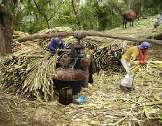 LA FISICA EN NUESTRAS VIDAS : PROCESOS DE LA ELABORACIÓN DE LA CAÑA DE ...