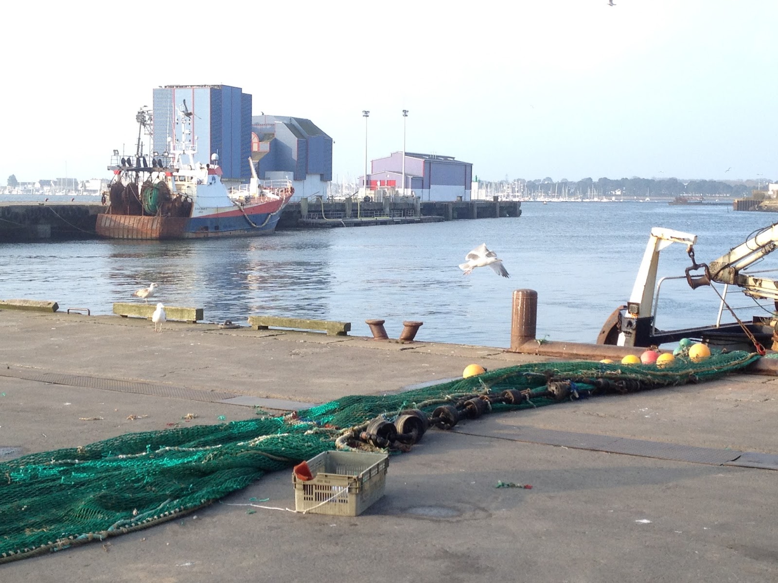 AUTOUR DE LA MER: Port de pêche de Lorient-Keroman