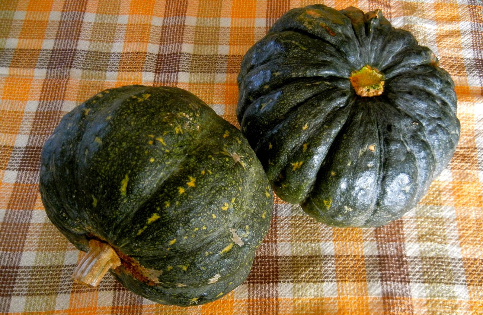 La botica de Carola: MAYO: MES DE LOS ZAPALLOS. MERMELADA Y ZAPALLO EN ...