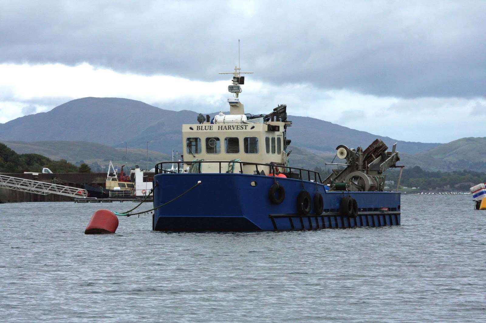 Eye-opening Boat Trip on Bantry Bay. Thanks to Diarmaid of the Fish ...