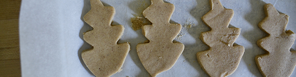 Delta Airlines Biscoff Cookie Recipe | The Art of Homemaking