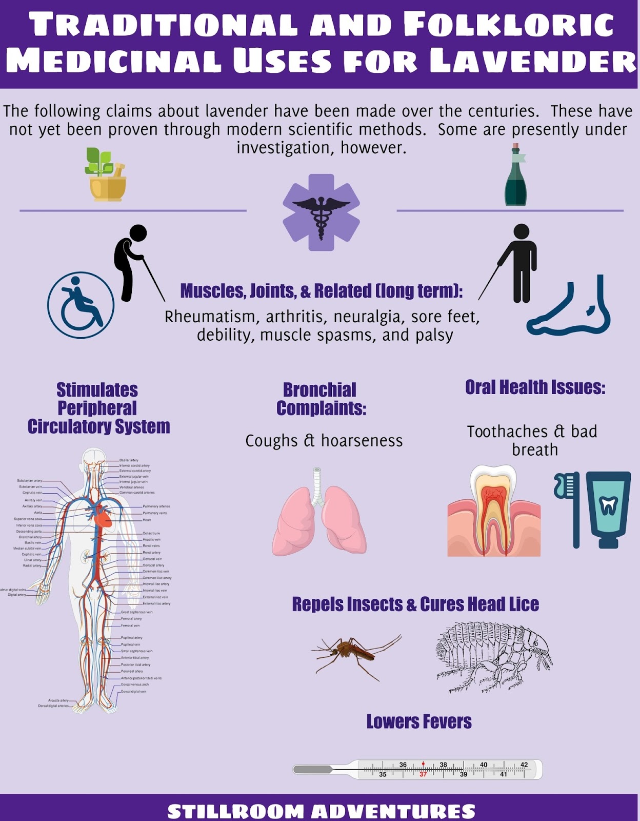 Lavender--The Ultimate Guide