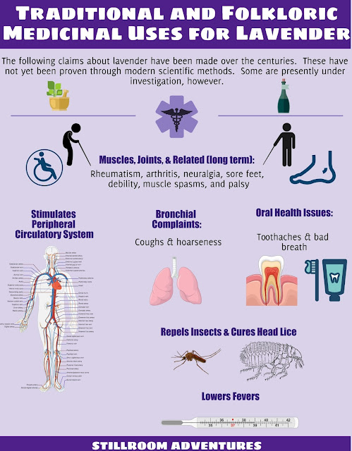 Lavender--The Ultimate Guide