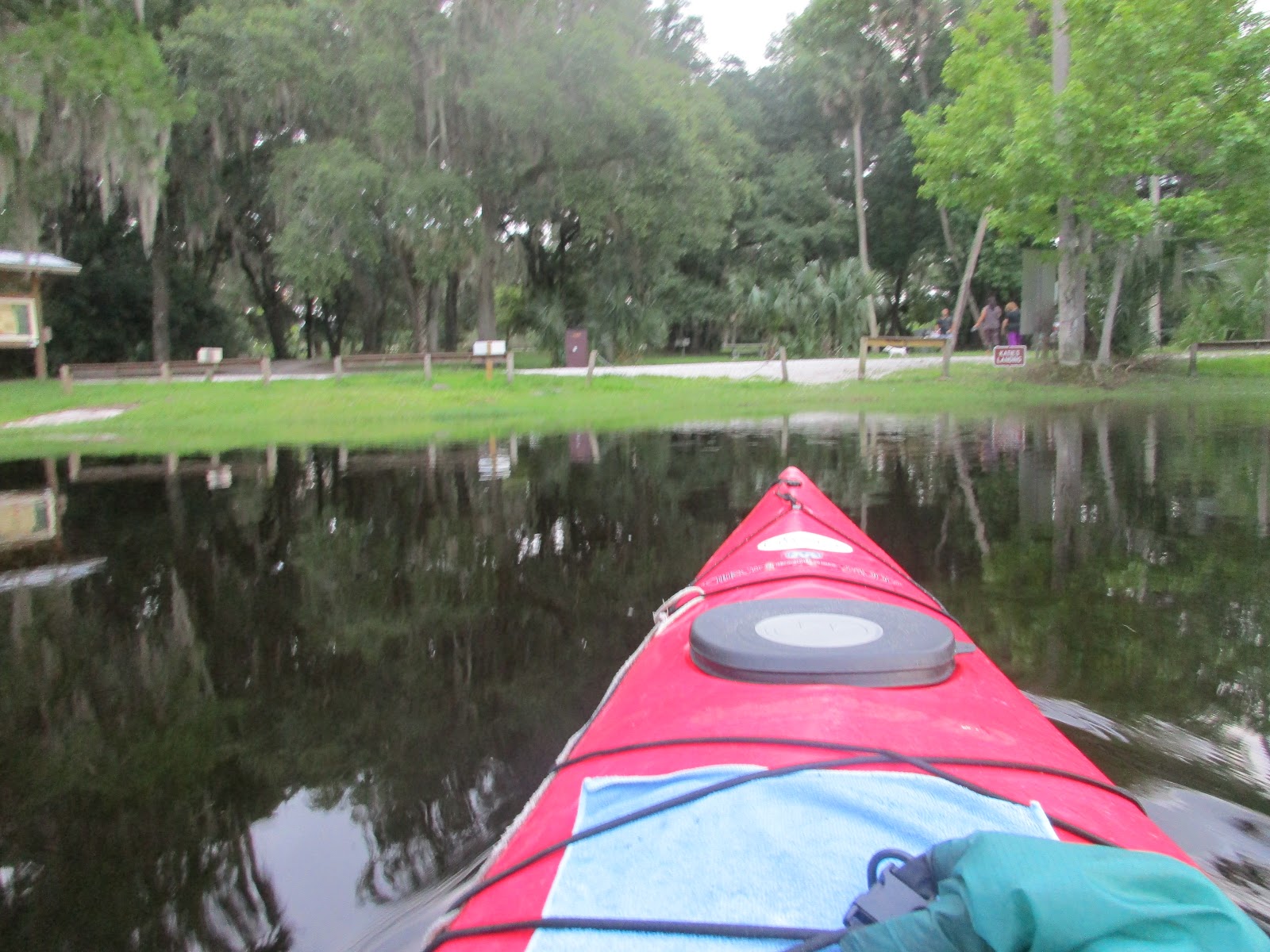 Dave's Yak Tales: Wekiva River