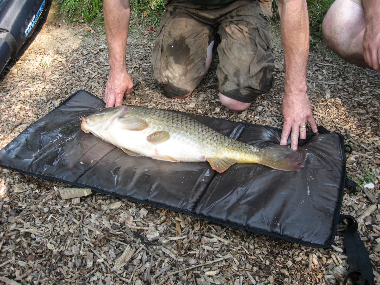 How to drown maggots : The brothers go fishing