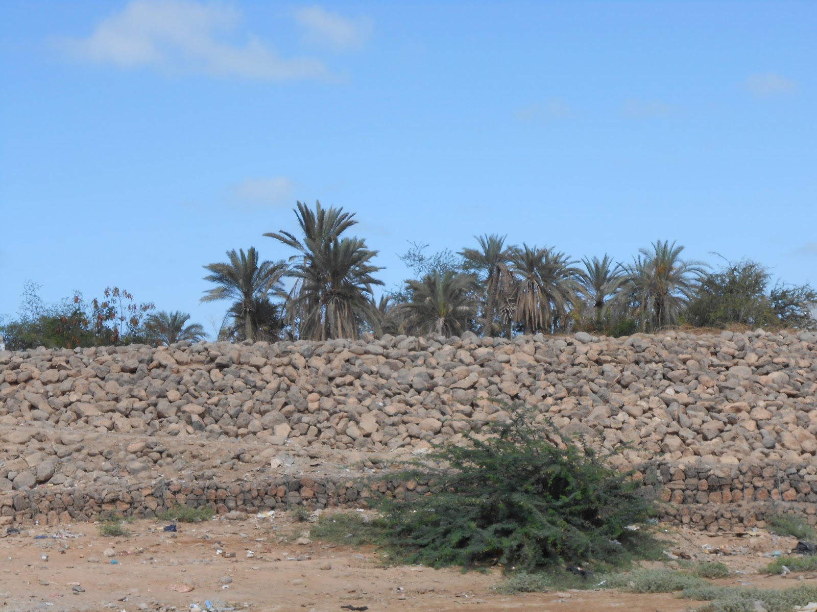 Les aventures d'Isa à Djibouti: Visite des Jardins d'Ambouli