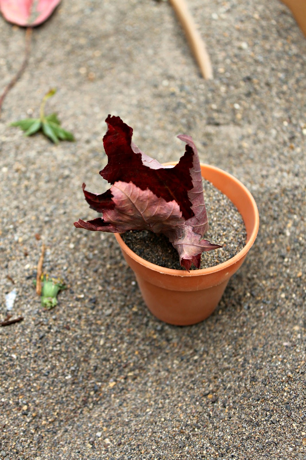 cute and peculiar: Fall sand play {Kids Co-op}