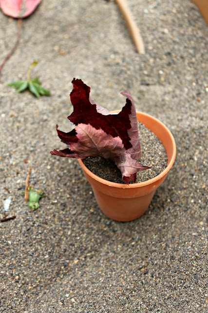 cute and peculiar: Fall sand play {Kids Co-op}