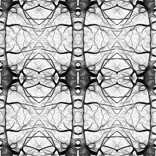 Two Dimensional Design: mirroring a photograph