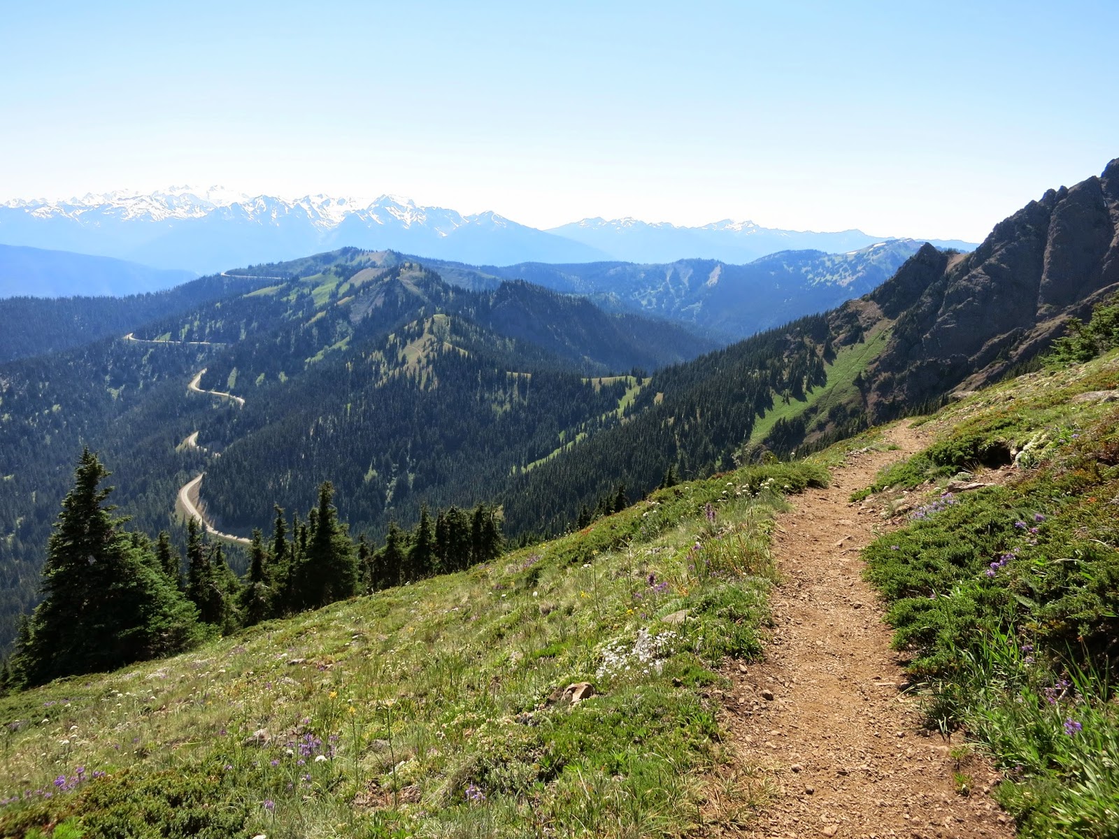 Ruhs' News: Washington - Olympic National Park – Hurricane Ridge, Part II
