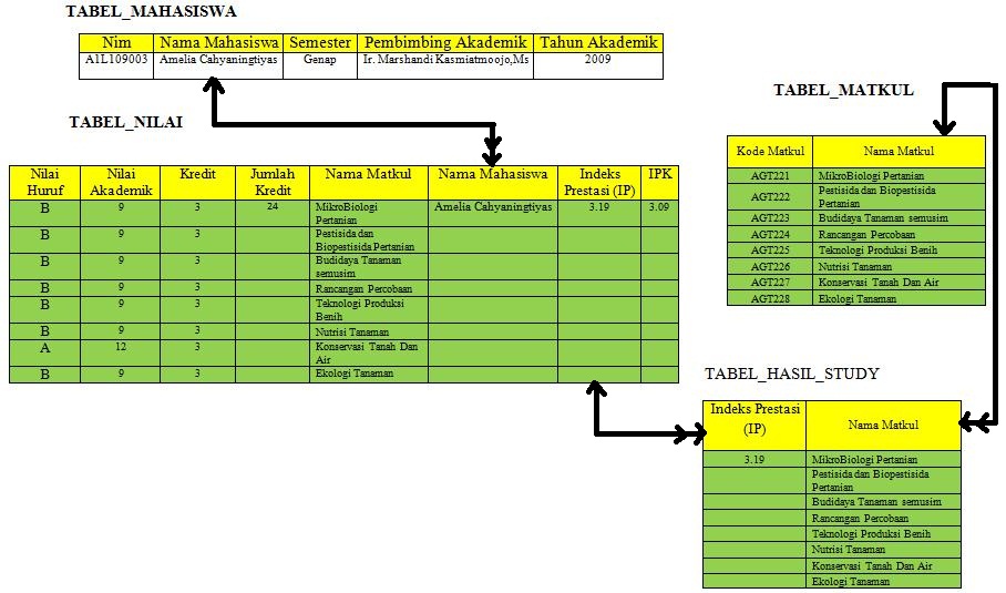 FAQIH LUKMANUL HAKIM: NORMALISASI