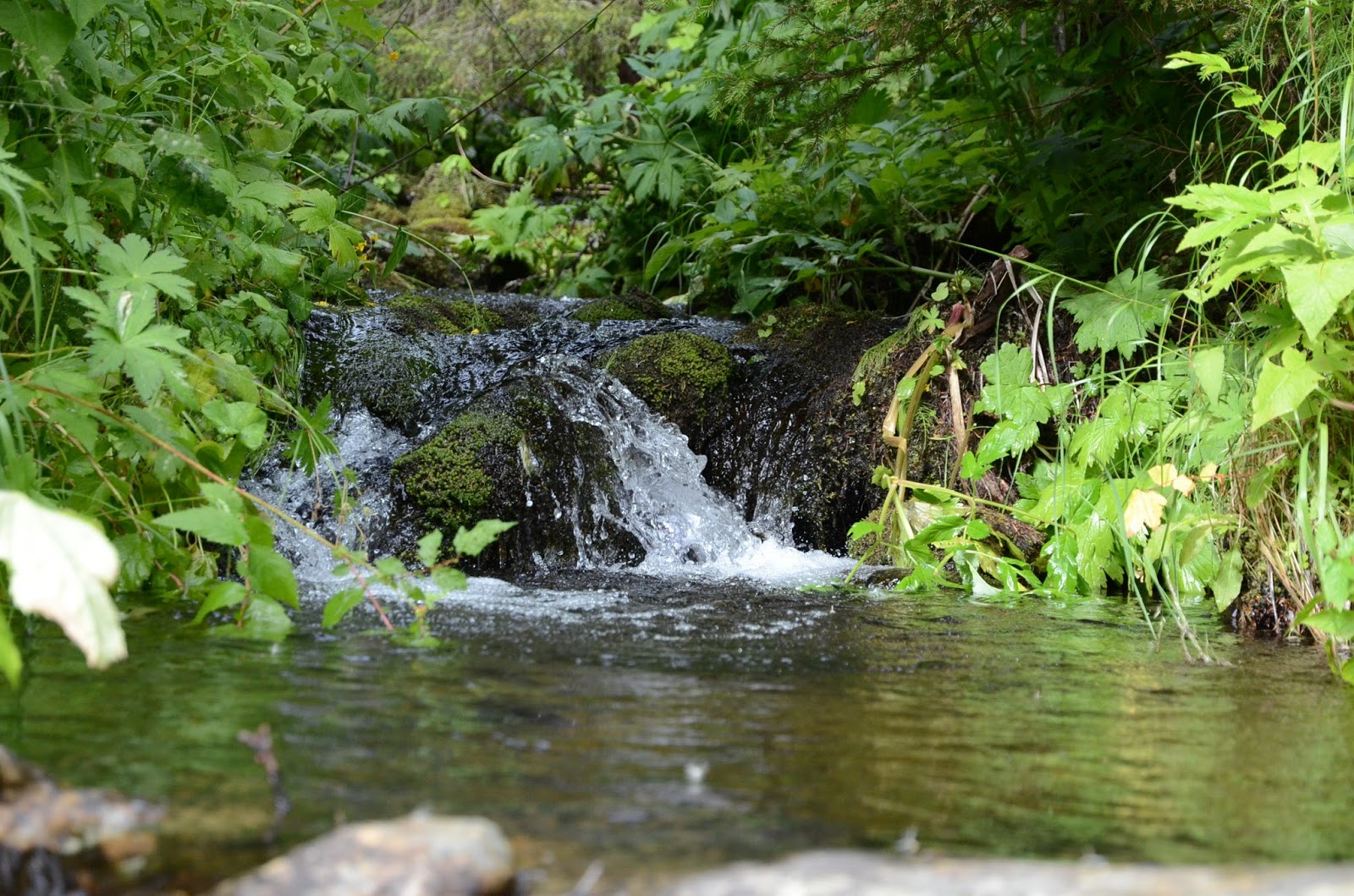 Heligfjäll EkoSystem: Creating a Loving Eco System with Krameterhof