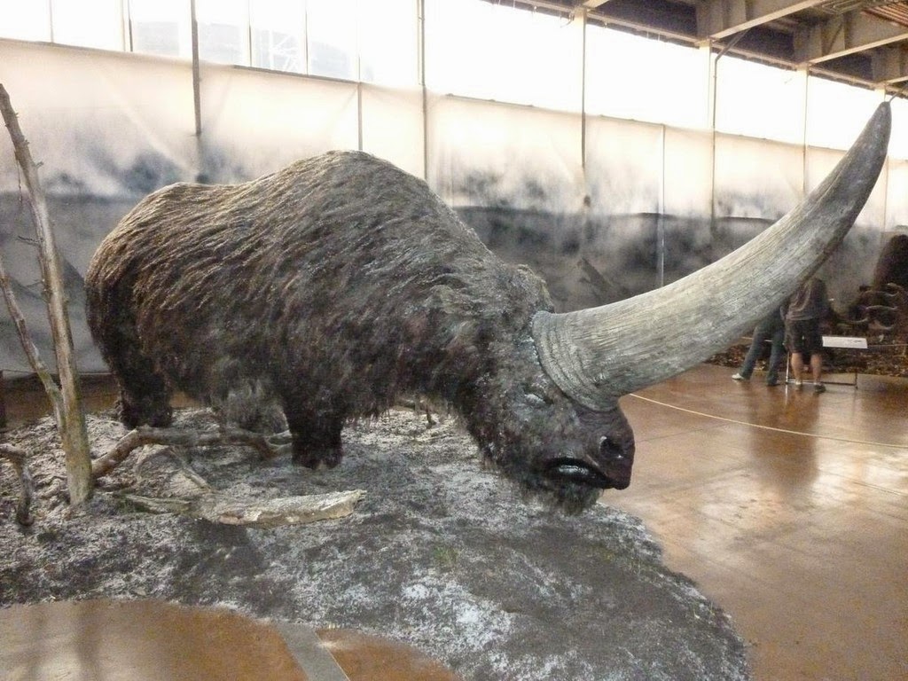 Urloplandia: Elasmoterium. Urloplandia noclegi, atrakcje, restauracje ...