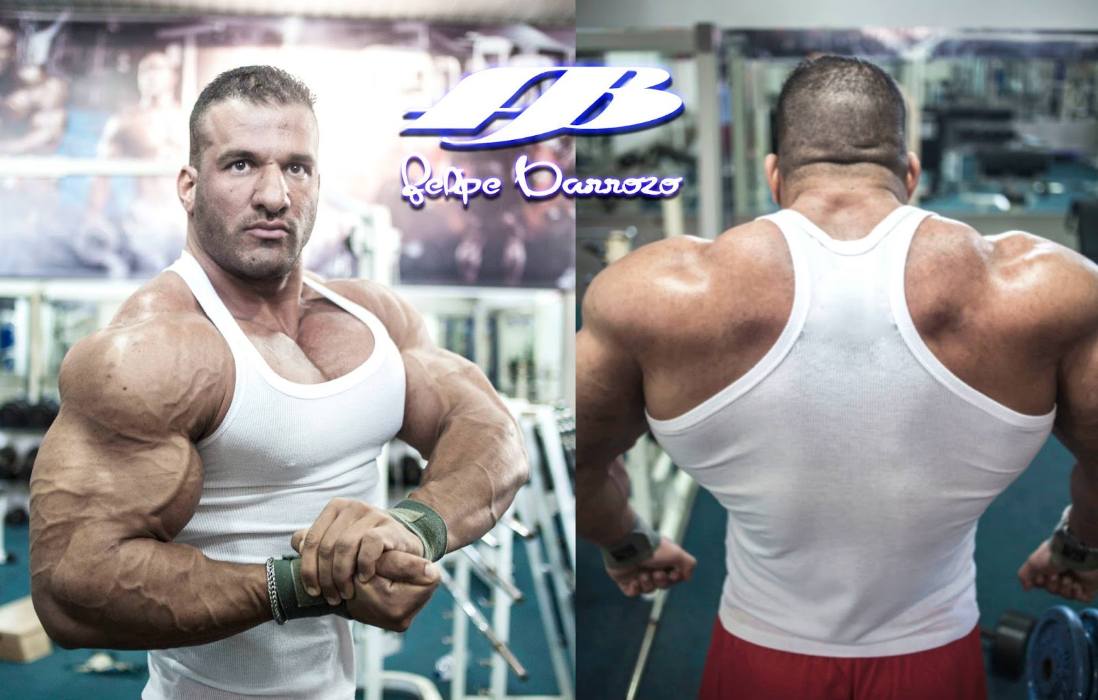 Muscle Lover: August muscle mix 2015