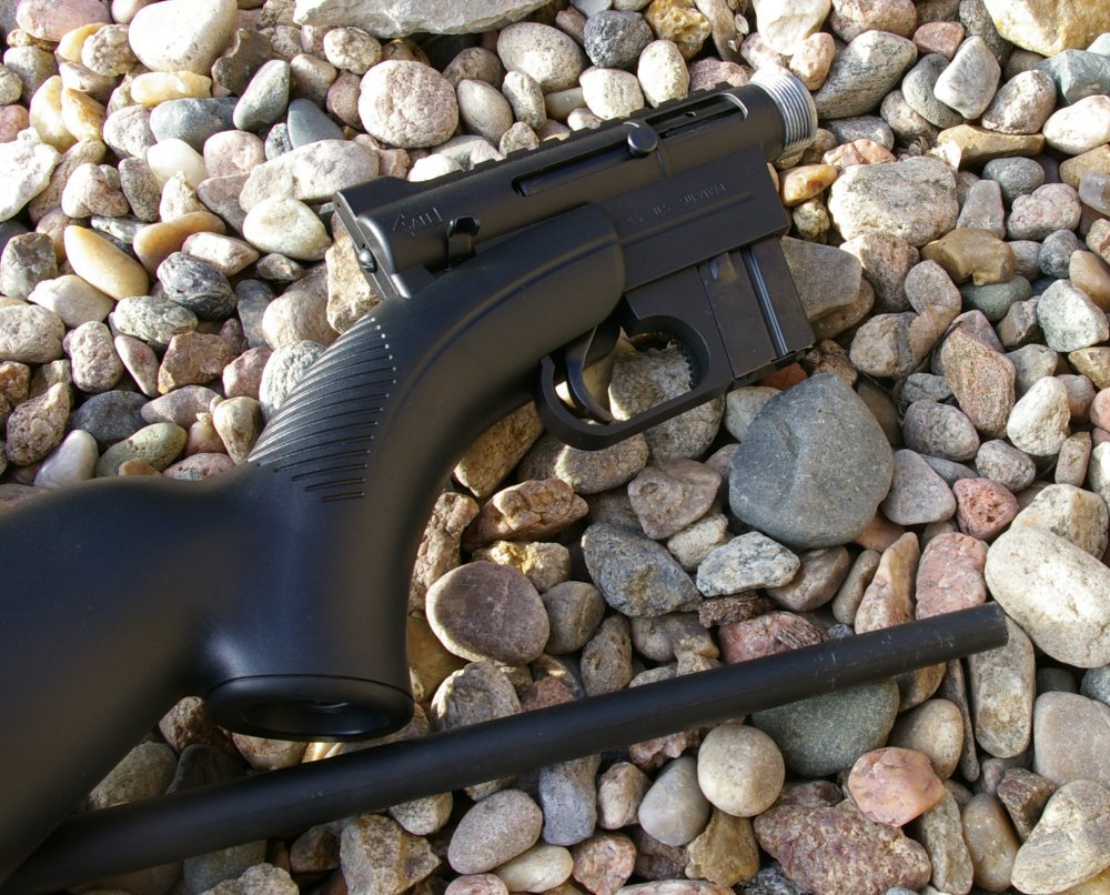 Henry U.S. Survival AR-7 Rifle Review