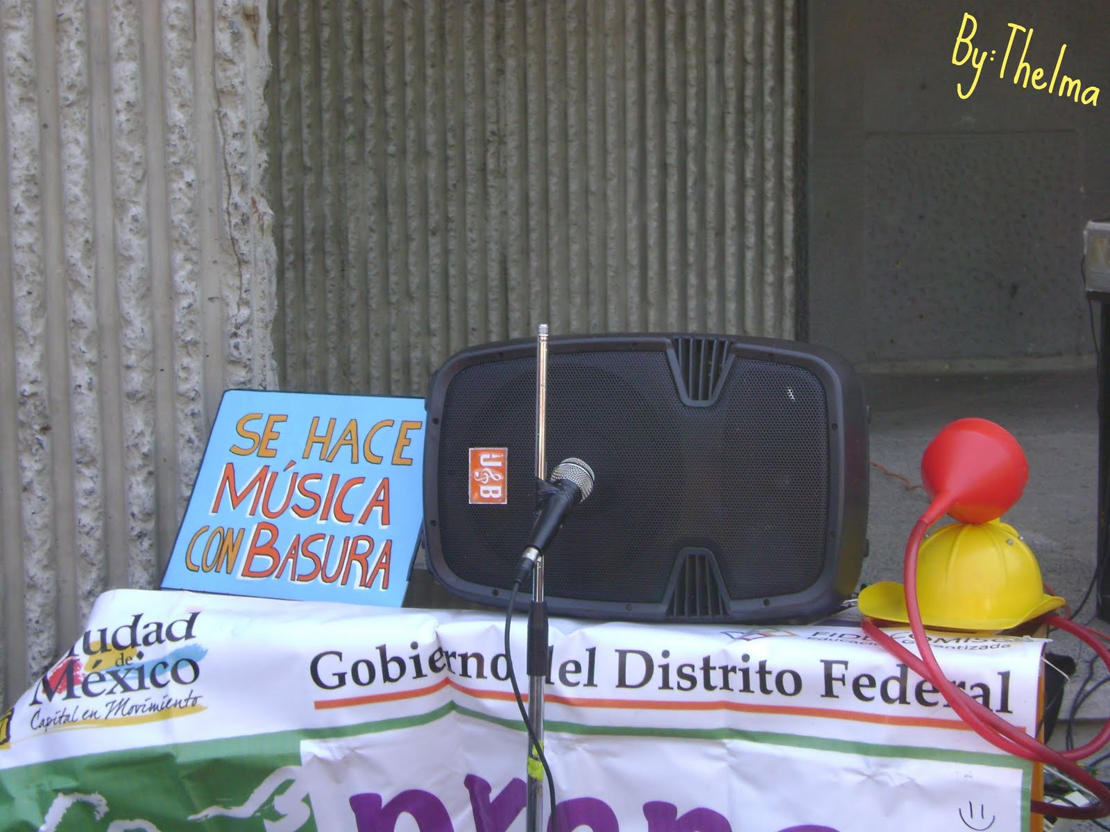 Thelma...*: Se hace música con basura...*