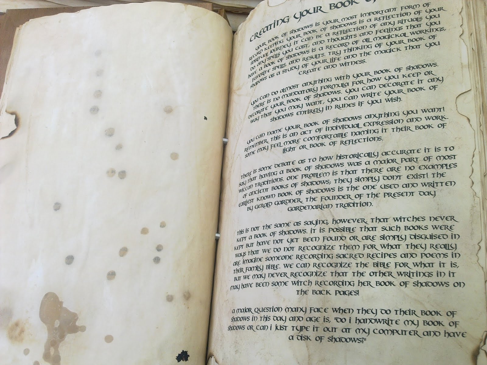 Tracey-anne's Blog: Codex papers...