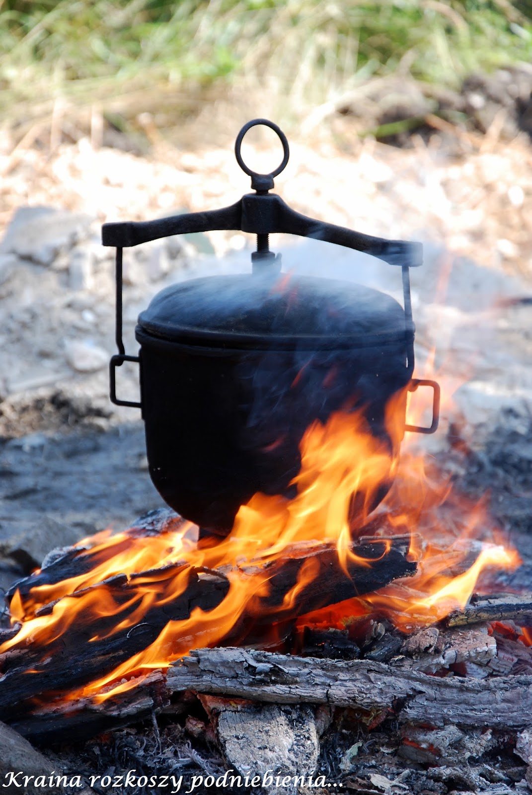 Pieczonki w Nadleśniczówce | Kraina rozkoszy podniebienia...