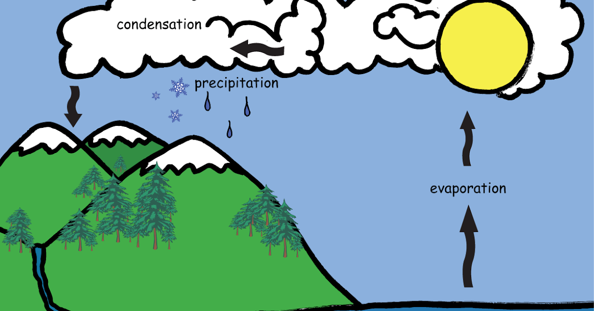 English for You and Me : The Water Cycle
