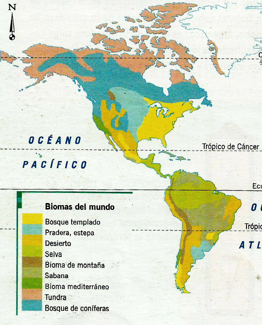 Ciencias Sociales 6: BIOMAS DE AMÉRICA