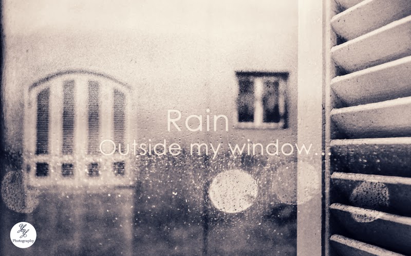 Rain Outside My Window | Y&Y Photography