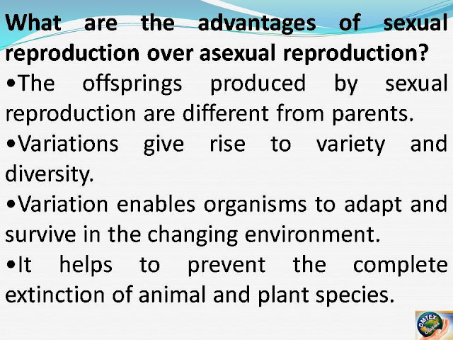 OMTEX CLASSES: What are the advantages of sexual reproduction over ...