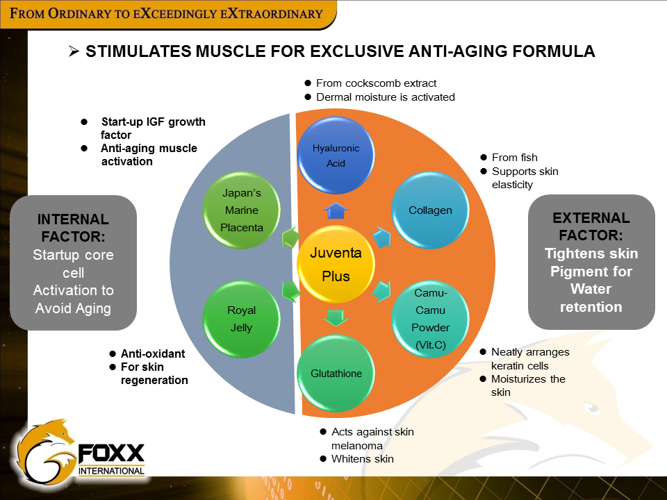 GFOXX International: Products